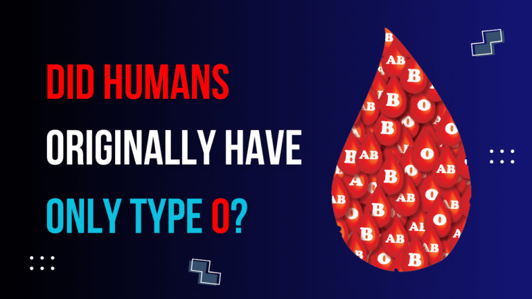 Blood Types Origin: Did Humans Originally Have Only Type O ...